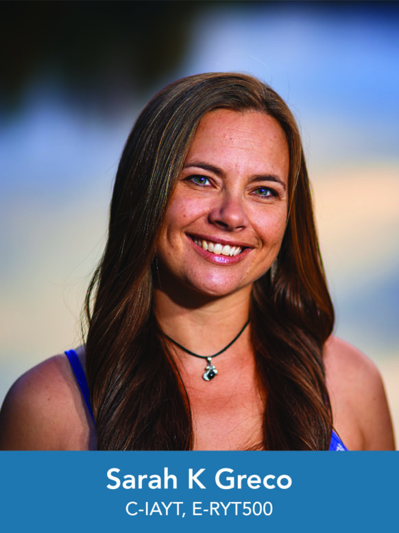 Mentoring for Yoga Professionals - Phoenix Rising Yoga Therapy Training